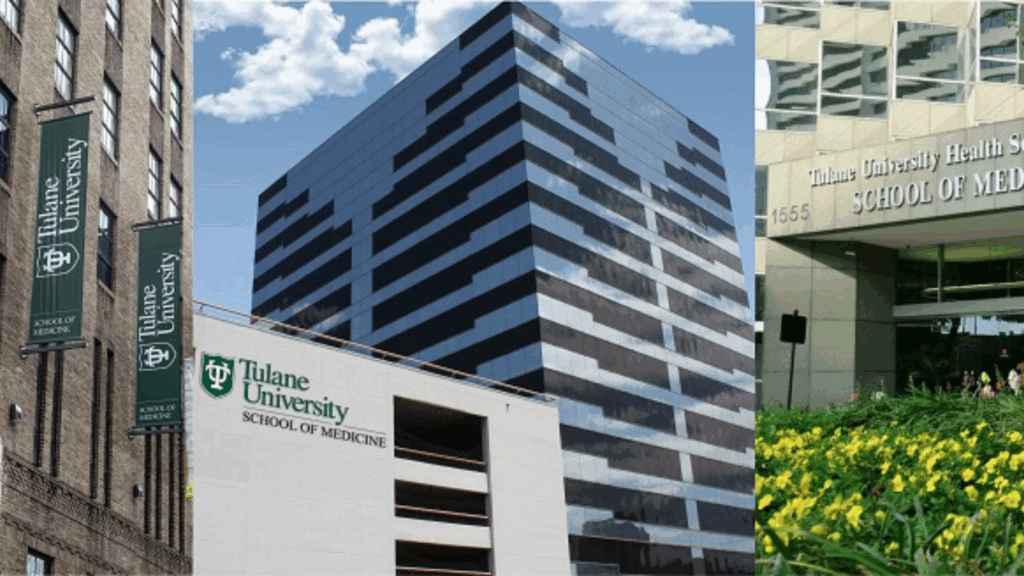 Tulane University School of Medicine Secondary Application Essay Tips ...